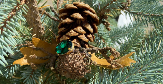 Christmas Insects Workshop | South London, London Activity Reviews ...