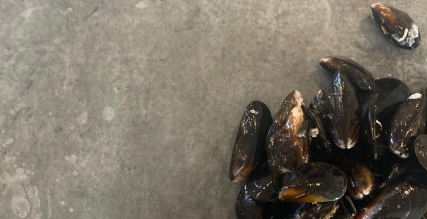 Wednesday Mussel Club | East London, London Food & Drink Reviews ...