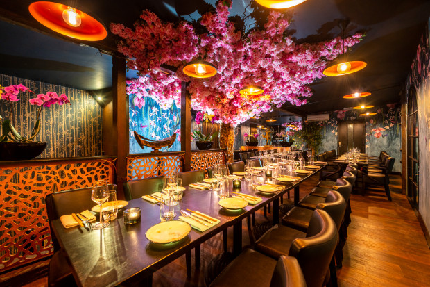 Sticky Mango: Pan Asian Restaurant Near Waterloo | DesignMyNight