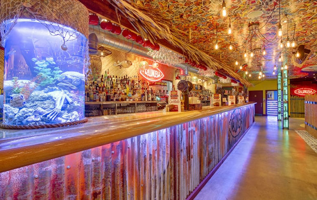 Rumba Congleton: Cool Tiki Lounge | DesignMyNight