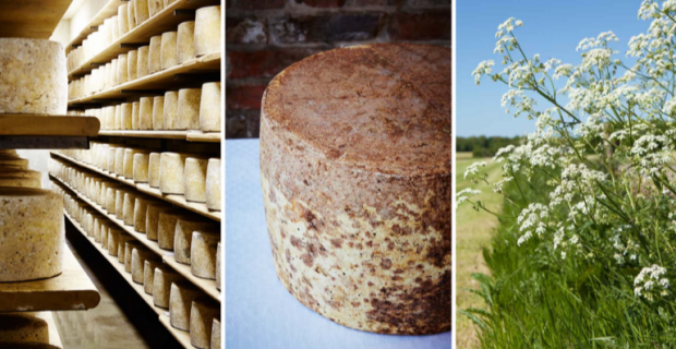 A Celebration of British Cheese | London Date Night Reviews | DesignMyNight