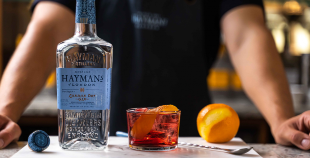 Cocktail Masterclass with Hayman's Gin | Marylebone, London Activity ...