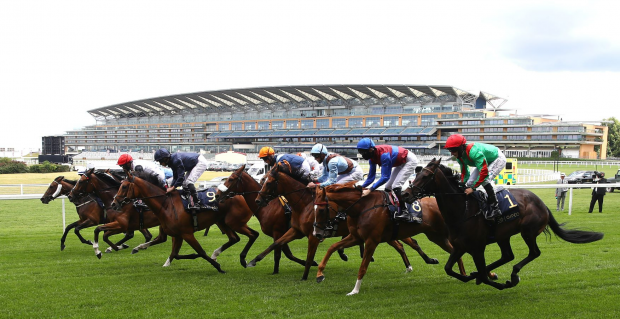 The Royal Ascot | Soho, London Sport Reviews | DesignMyNight