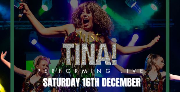 JUST TINA - The UK's number 1 Tina Turner Tribute | Baltic Triangle ...