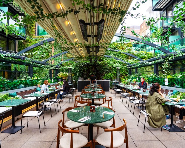 Terra Terra: Italian Restaurant In South Hampstead | DesignMyNight