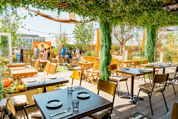 Willows On The Roof: John Lewis Rooftop London | DesignMyNight