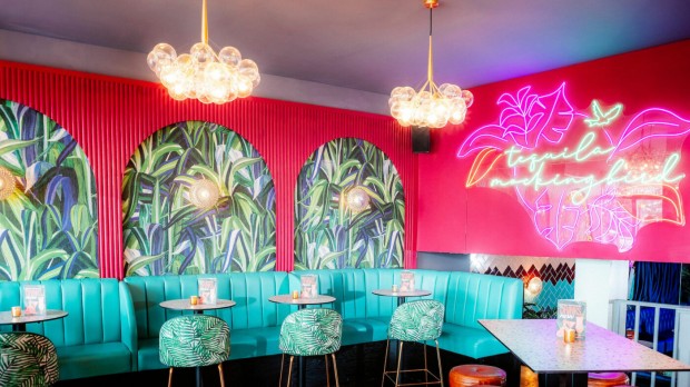 Tequila Mockingbird Putney | London Bar Reviews | DesignMyNight