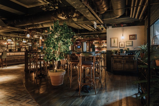 The Botanist Edinburgh: Pretty Floral Cocktail Bar & Restaurant ...