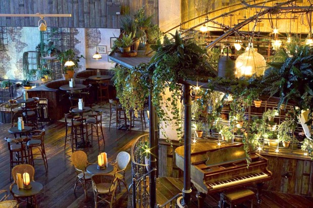 The Botanist: Quirky Restaurant Bar In Warrington | DesignMyNight