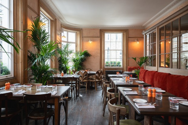 The Orange: Belgravia Gastropub & Boutique Hotel | DesignMyNight