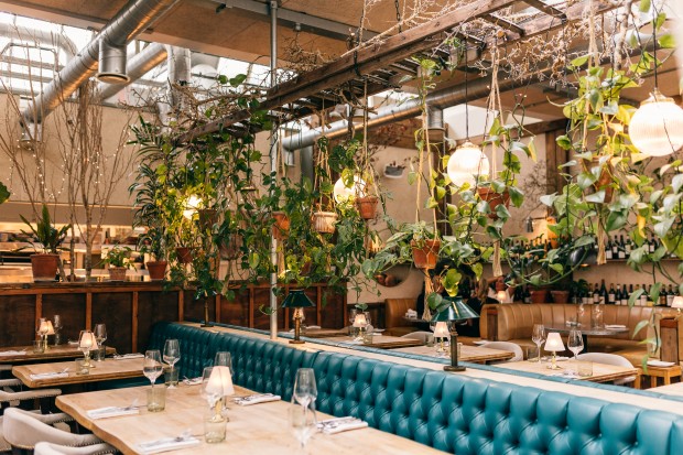 Walcot House | Bath Restaurant Reviews | DesignMyNight