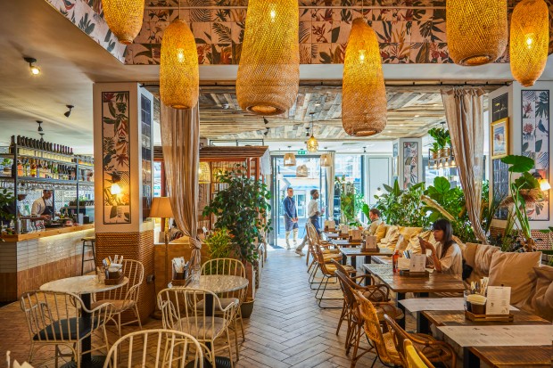 Ollie’s House: Pretty Asian Restaurant In Chelsea | DesignMyNight