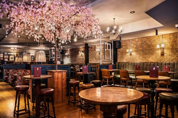 The Peacock: Historical Pub In Angel | DesignMyNight