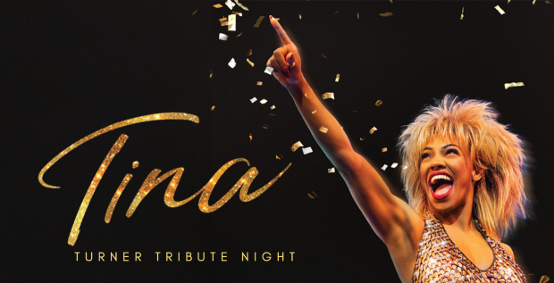 Tina Turner Tribute Night | UK Live Music Reviews | DesignMyNight