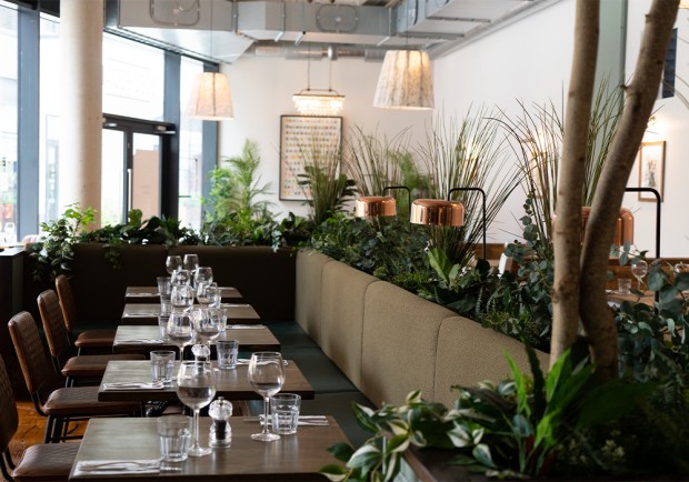 Bobo Social: Ealing European Restaurant | DesignMyNight