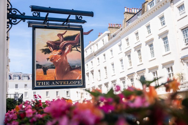 The Antelope Eaton Terrace | London Pub Review | DesignMyNight