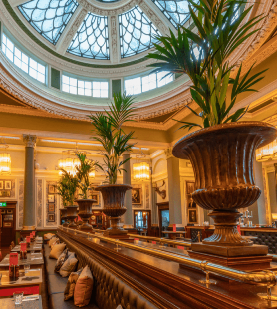 Cosy Club Norwich: Book A Table | DesignMyNight