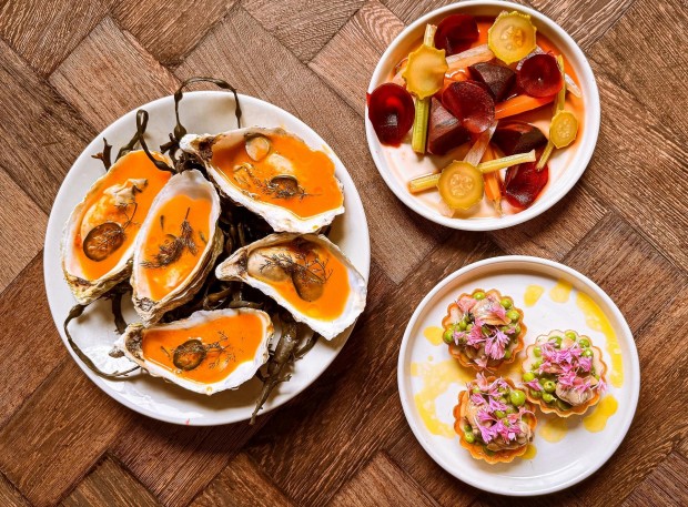 The Parakeet: Pub In Kentish Town | DesignMyNight